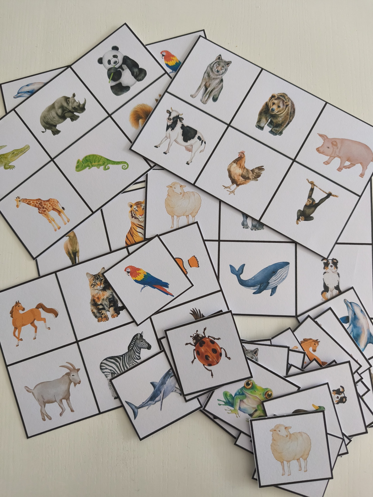 Loto animaux